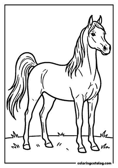 Animal Coloring Pages: Free Printables to Print